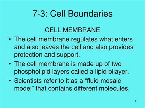 Ppt 7 3 Cell Boundaries Powerpoint Presentation Free Download Id