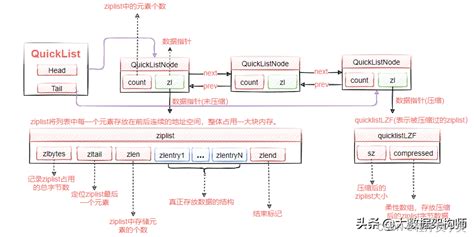 图解redis中的9种数据结构（高级面试，必备） redis高级数据结构 csdn博客