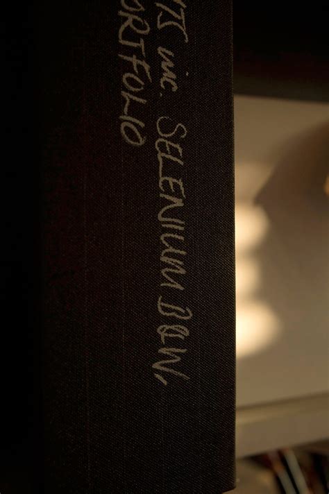 Golden Dawn — Cameron Maynard