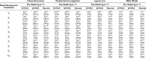 Influence Of Weed Control Treatments On Dry Matter Accumulation Of