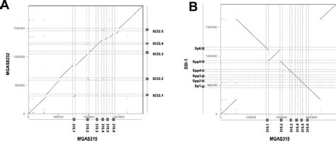 Genome Comparisons Of S Pyogenes Strains A Dot Plot Alignment Of The