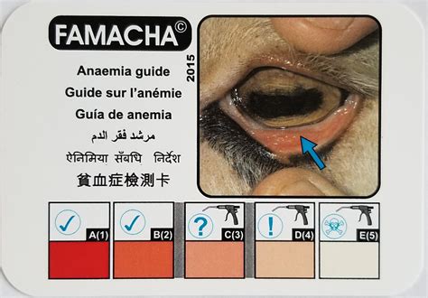 Famacha In A Nutshell Attra Sustainable Agriculture