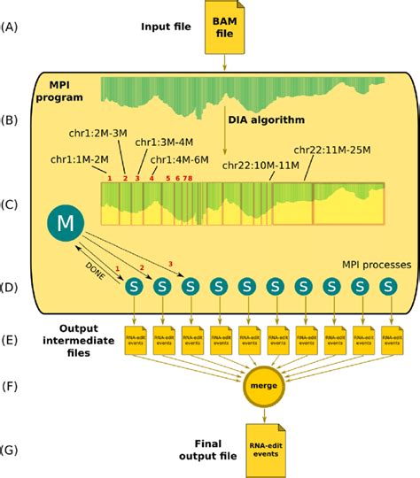 Layout Of Hpc Reditools Parallel Implementation Download Scientific