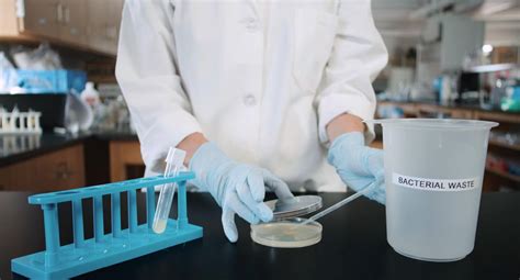 Lab Skills Aseptic Technique Carolina Knowledge Center