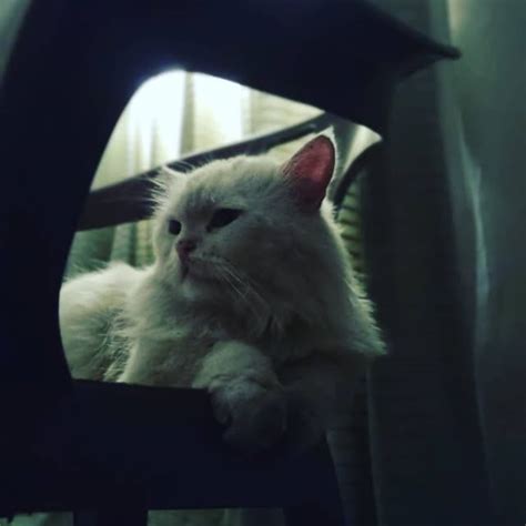 Saif Ali Saif Ali Khalid • Threads Say More