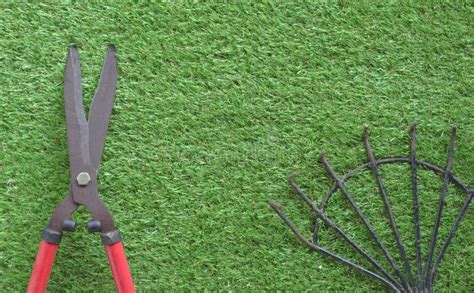 Large Grass Cutting Scissors Red Handle Steel Rake On Grass Stock