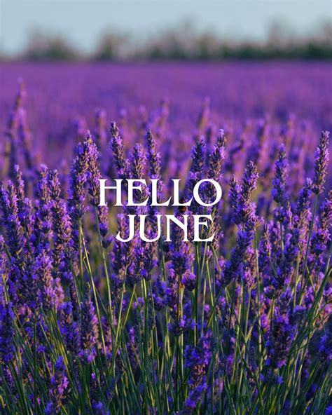 Spear Wellbeing Clinic Windsor Windsor