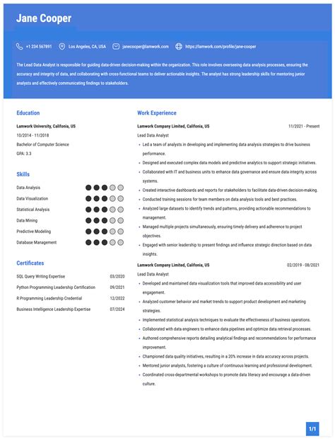 Lead Data Analyst Resume Example