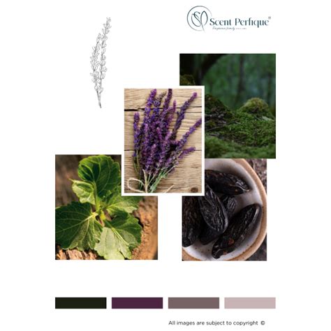 Lavender And Patchouli Fragrance Oil Craftovator Candle Making Supplies