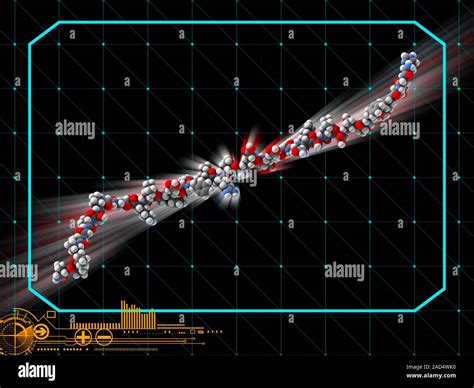 Exenatide Molecular Model Of The Drug Exenatide C184h282n50o60s