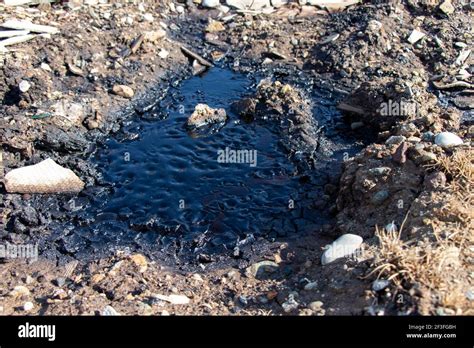 Soil Polluted With Oil Waste Concept Of Harm To Environment And