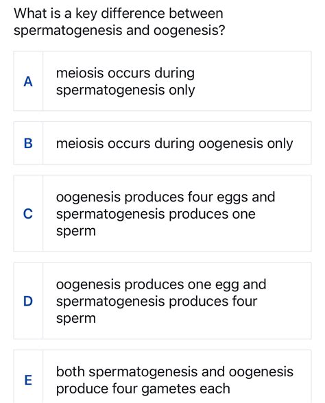 Solved What Is A Key Difference Between Spermatogenesis And