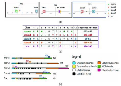 Ara Disentanglement In Pattern Space And Sequence Location A