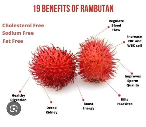19 Benefits Of Rambutan Gesundheit