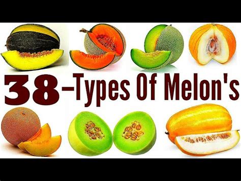 Different Types Of Melons Subtropical Fruits Melons Sciencedirect