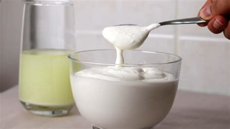 How To Make Strained Yogurt At Millard Brochu Blog