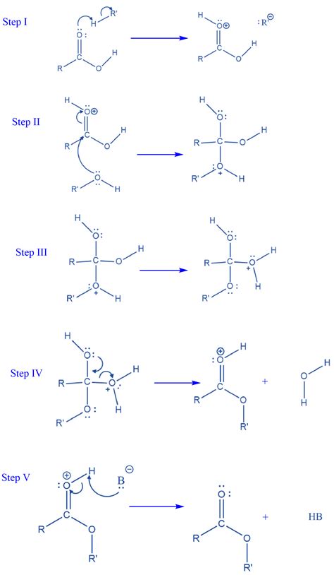 Zinc Acetate Esterification At Leigh Clanton Blog