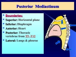 5 Mediastinumanatomy And Histologypptx Ppt