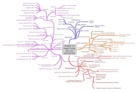 Chapter 12 Hagar Farag Secl53 202104799 Coggle Diagram