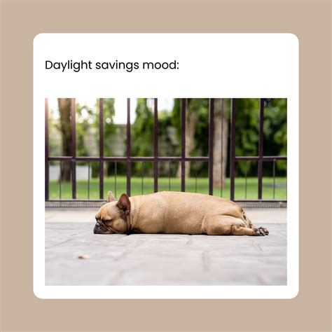 Marirose Roach On Linkedin Dont Forget Its Almost Time To Spring Forward ⏰ On Saturday