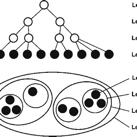 Niles Eldredge American Museum Of Natural History New York Paleontology