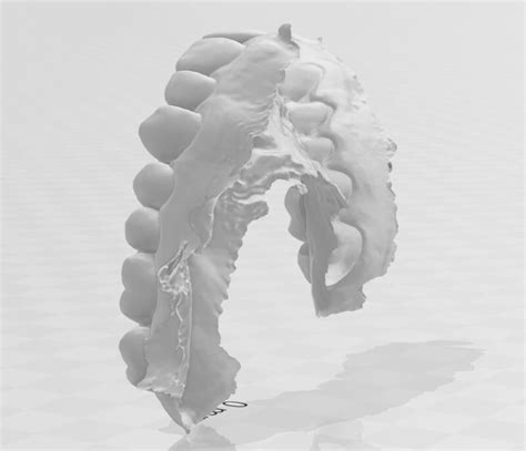 Digital Impression And Digital Model File Export Instructions