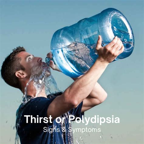 Understanding Polydipsia The Thirst That Wont Quit