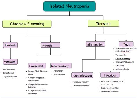 Isolated Neutropenia Differential Diagnosis Algorithm Chronic 3