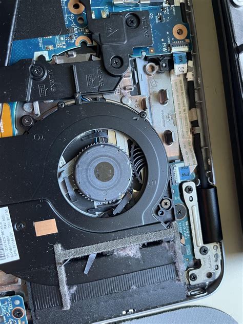 Cat Meme Rtechsupportgore