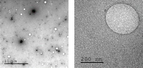 Figure 2 From Cyclopropenium Nanoparticles And Gene Transfection In Cells Semantic Scholar