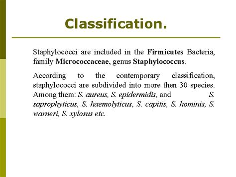 Microbiology Virology And Immunology Department Pathogenic Cocci Staphylococci