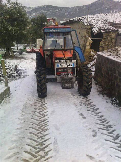 Ujku I Buqsis