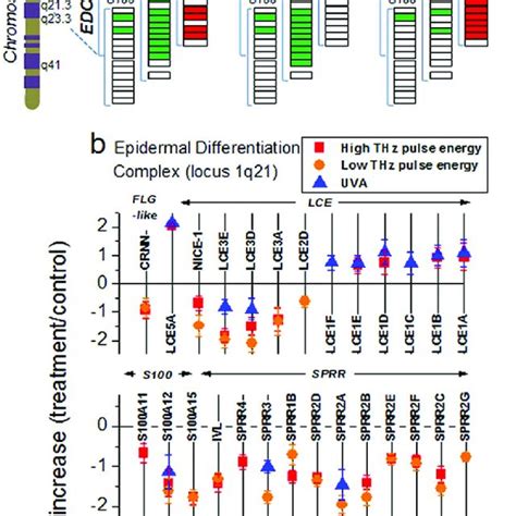 Differentially Expressed Epidermal Differentiation Complex Download