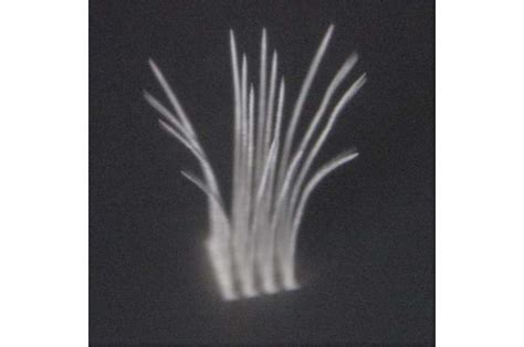 Researchers Discover 4d Printing Trick For Brain Computer Interfaces 3d Printing