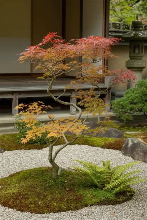 18 Small Japanese Garden Ideas For Your Backyard Oasis Comfortlydecor