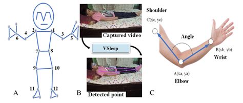 Blazepose Topology And Performance A The Twelve Detected Points On A Download Scientific