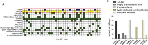 A Summary Of Asas Classification Criteria Evaluated In 44 Patients Download Scientific