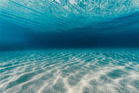 New Seabed Sediment Maps Reveal What Lies Beneath The Waves British