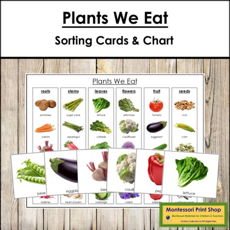 Plants We Eat Sorting Cards And Control Chart Made By Teachers