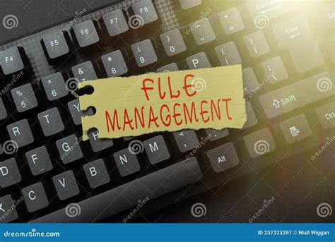 Sign Displaying File Management Word Written On Computer Program That