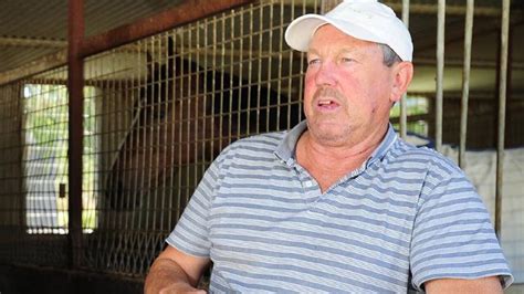 Raceday Focus Best Bets Inside Mail For Wagga Wagga Daily Telegraph