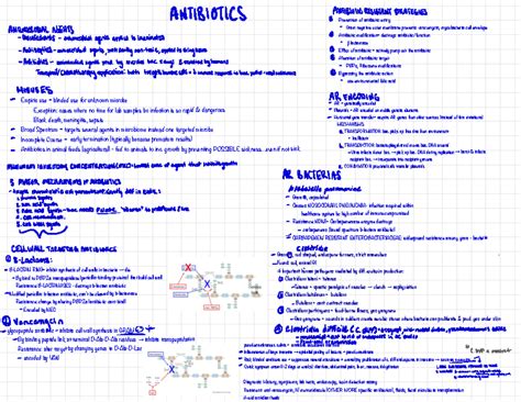 Antibiotics Notes Summaryexam Review Of The Lecture Empiric Use