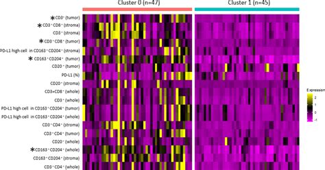 Heat Map Analysis Of Variables In Each Patient Distributed On Clusters