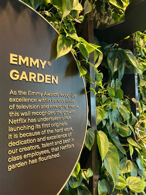 Daniel Stevenson Sutton Posted On Linkedin