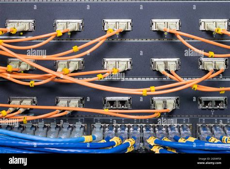 The Network Cables To Connect The Port Of A Switch To Connect Internet Network Concept