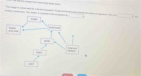 Solved The Correct Answer From Each Drop Down Menu The Image Is A