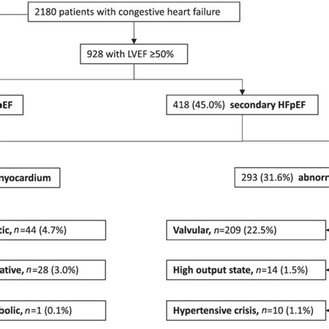 Classification By Left Ventricular Ejection Fraction Lvef And By Download Scientific Diagram