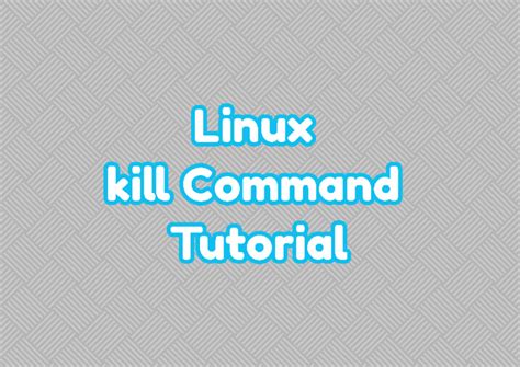 Linux Kill Command Tutorial Linuxtect