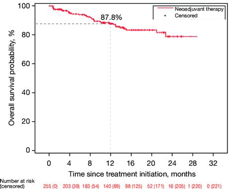 Km Analysis Of Os Of Patients Km Kaplan Meier Os Overall Survival