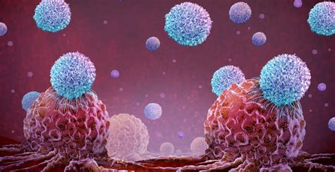 Multiplex Cytokine Assay Service Cytokine Profiling Service